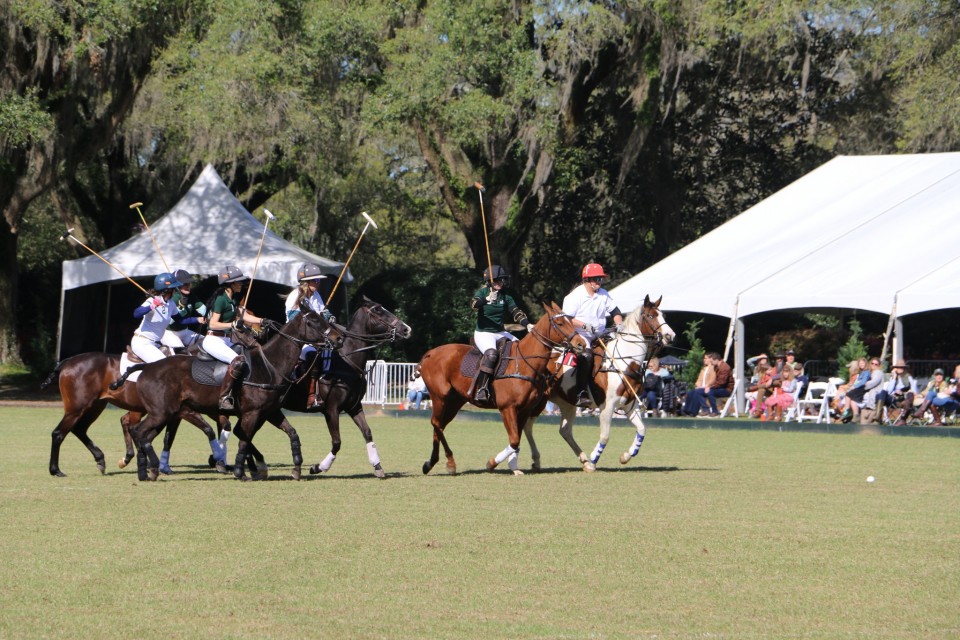 Home | Pebble Hill Plantation