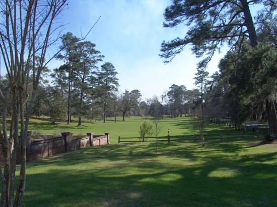 Things to See & Do | Pebble Hill Plantation